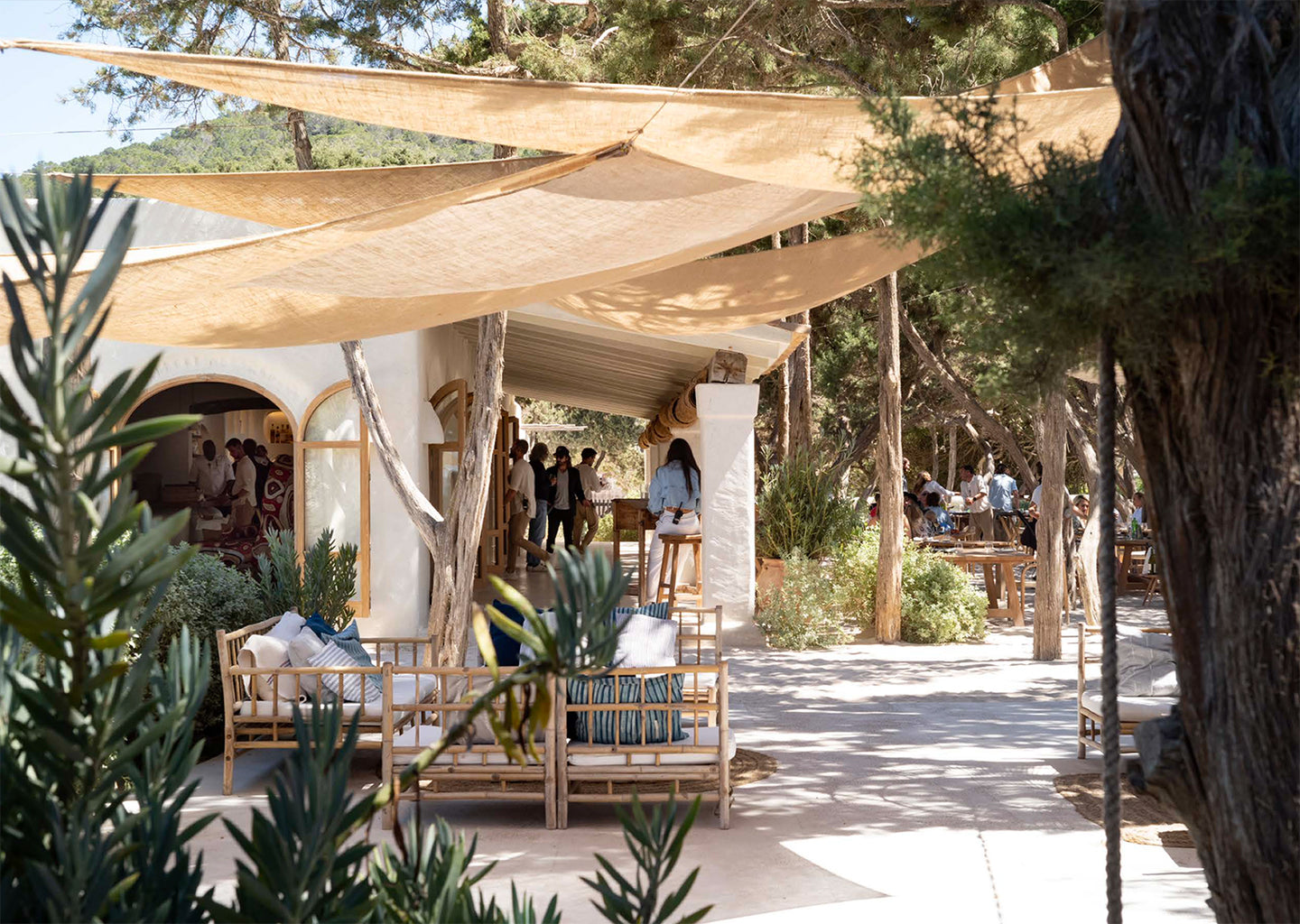 PARTICULAR AT CASA JONDAL – PIGMENTARIUM